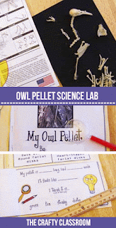 Owl Activities for a Owl Preschool Theme | Preschool Powol Packets