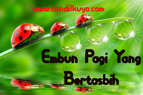 √ KUTIPAN Embun Pagi Yang Bertasbih ( PUISI ) - CANDIL KUYA