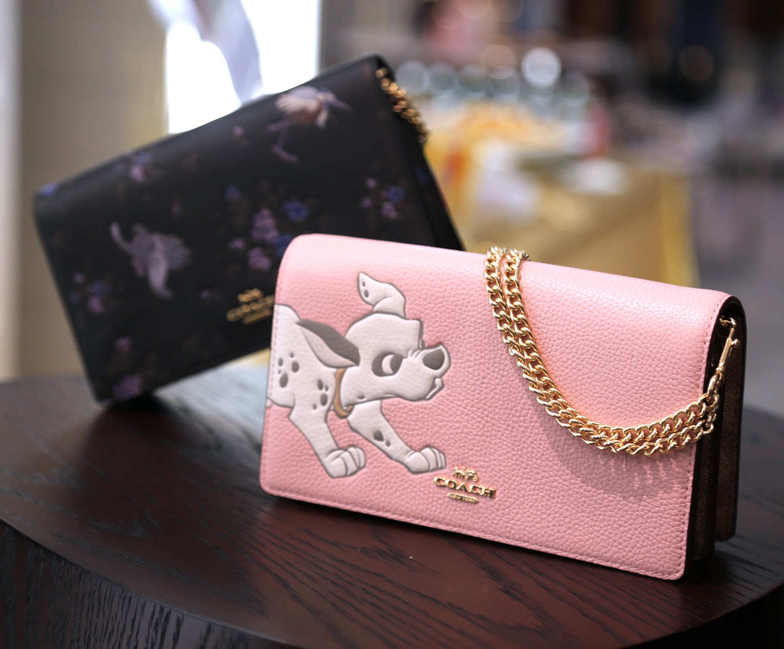 COACH SS19 Trunk Show - The Daily Nail