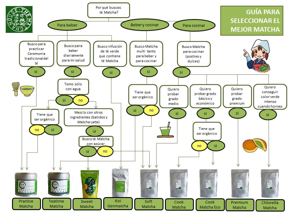 Guía para seleccionar el mejor té Matcha