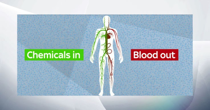 How cryonics works: Process of freezing bodies explained
