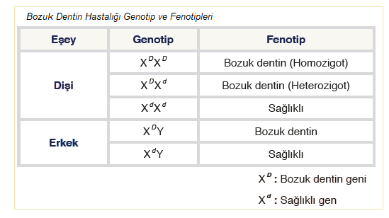 BİLKEM: KALITIMIN GENEL İLKELERİ 4 ( EŞEYE BAĞLI KALITIM )