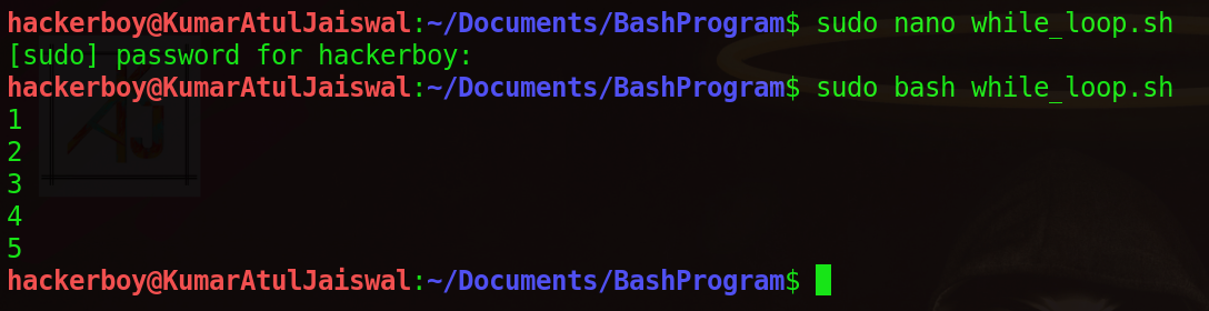 Bash Scripting While Loop