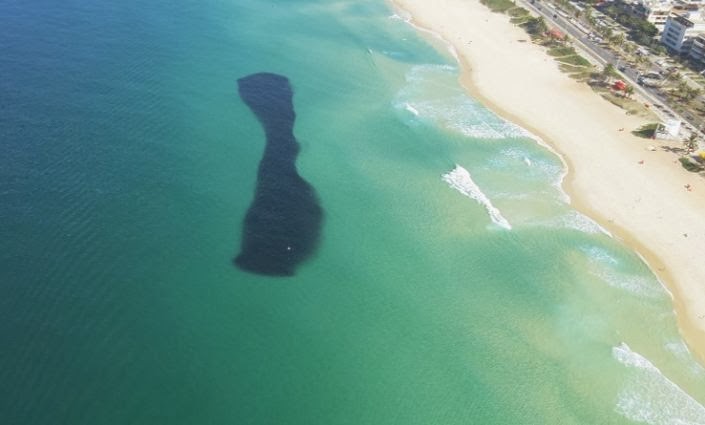 Blog do M@rcondes: Fotógrafo flagra grande cardume de sardinha em praia ...
