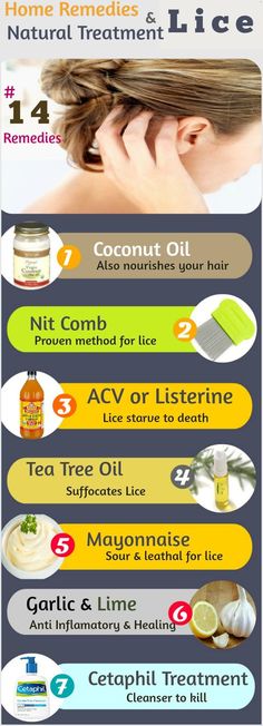 How To Get Rid Of Lice With Apple Cider Vinegar - Caraway Seeds Health ...