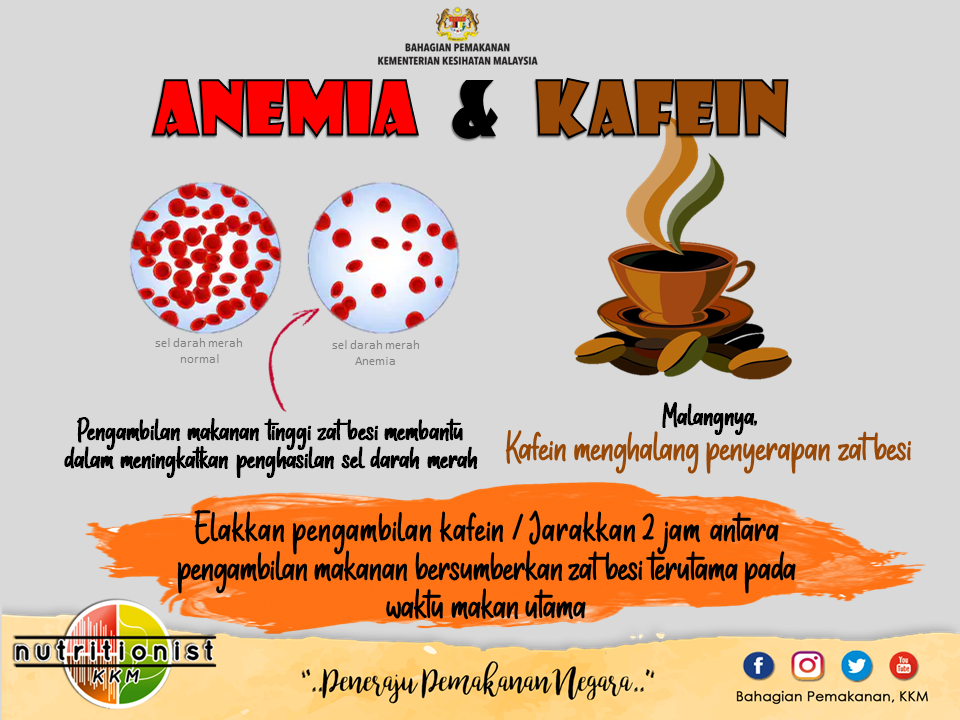 National Cancer Society of Malaysia, Penang Branch: Prevalens Anemia Di ...