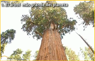 Blog de Geografía del profesor Juan Martín Martín: enero 2016