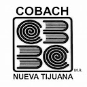 COBACH Y SU HISTORIA