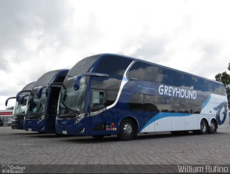 Greyhound Sudáfrica cerró sus operaciones tras 37 años de servicio