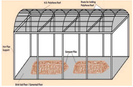 selva mushroom cultivation farm & agriculture production.