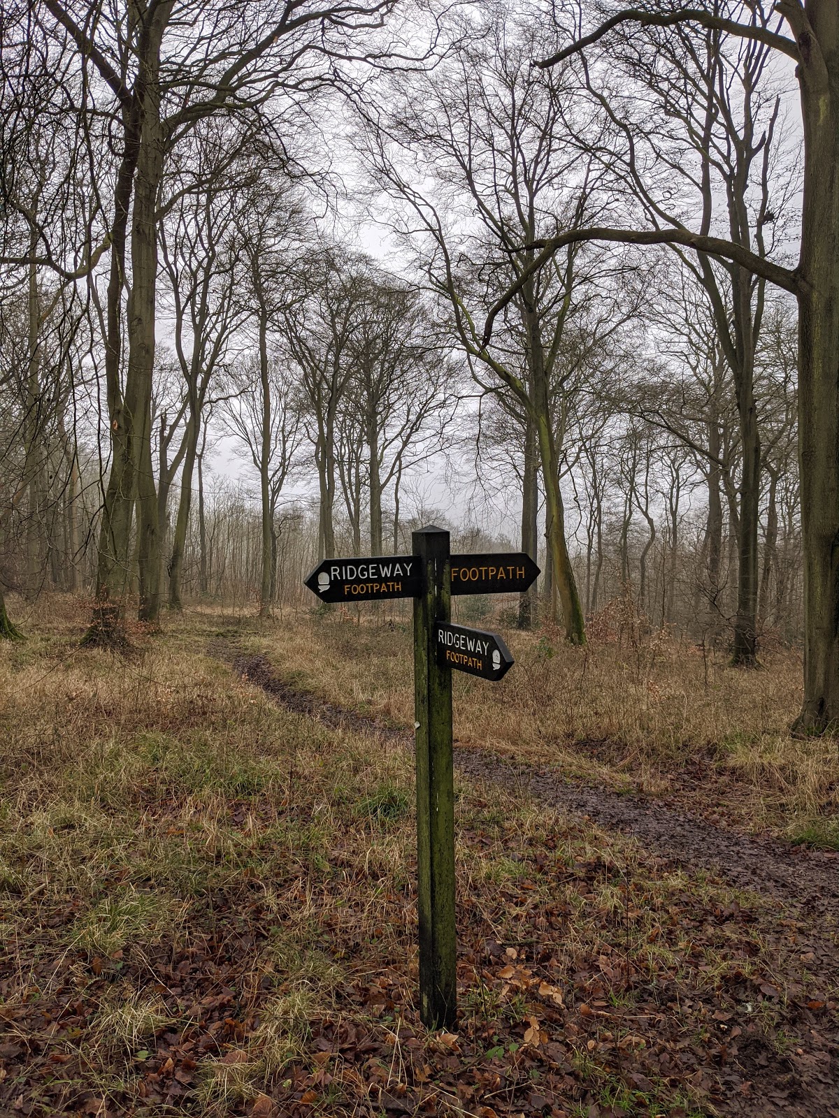 The Ridgeway #2: Wendover to Princes Risborough