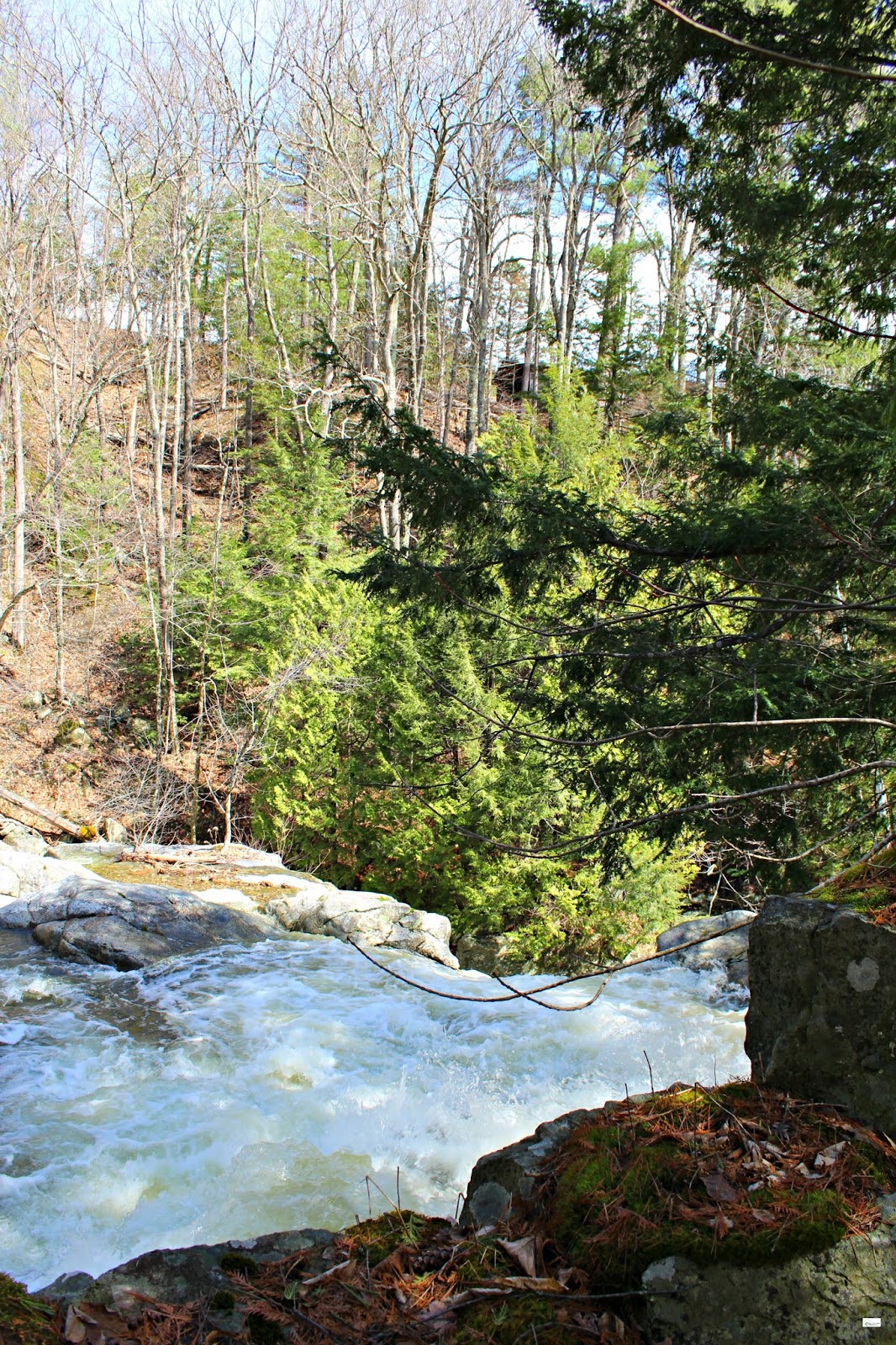 Rice's Falls // Elizabethtown, New York | Caravan Sonnet