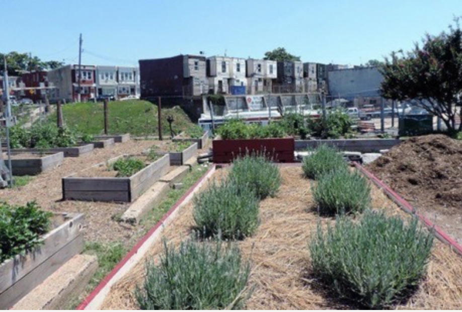 PA Environment Digest Blog: PA Horticultural Society: Philadelphia’s ...