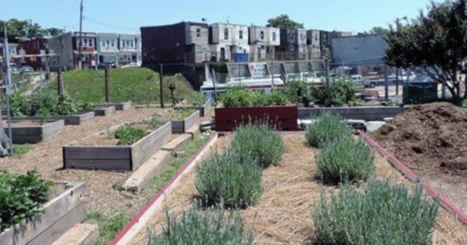 PA Environment Digest Blog: PA Horticultural Society: Philadelphia’s ...