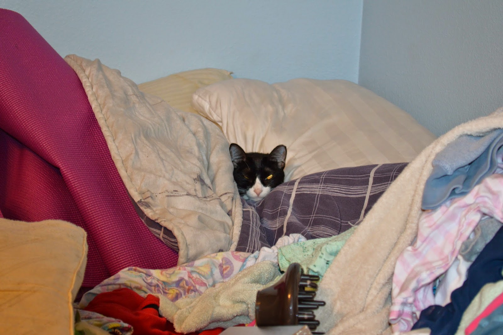 Tripping Over My Tongue: Get to Know Winnie