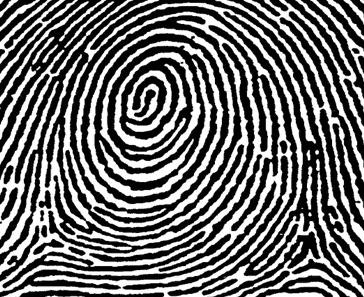 All About Forensic & Investigative Sciences: Fingerprints- An Introduction