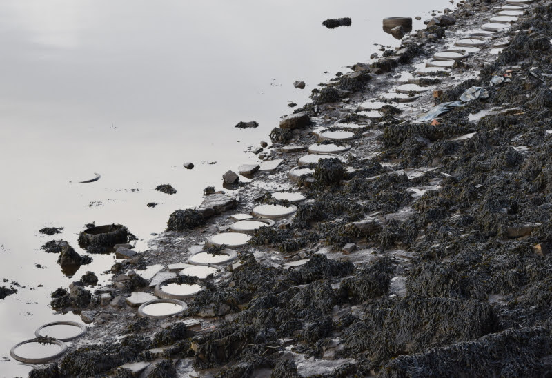 Photographs Of Newcastle: Walker Riverside