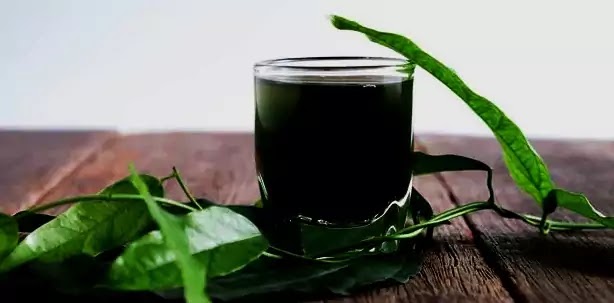 What is chlorophyll and how to use it