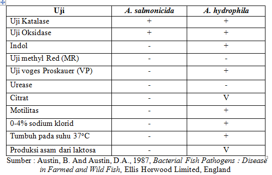 drh. Dewi Murni: DIAGNOSA INFEKSI Aeromonas hydrophila dan INFESTASI ...
