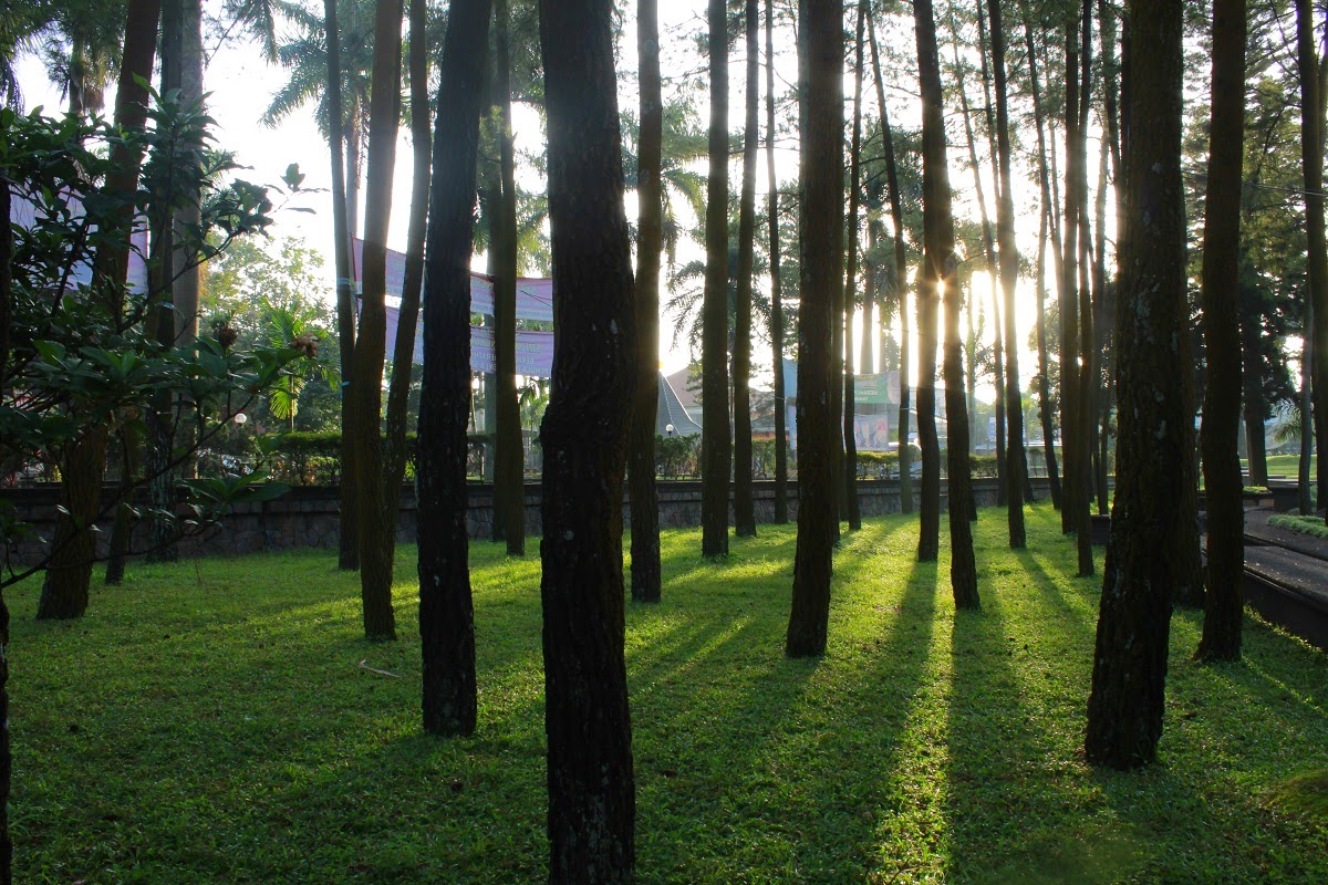 Tempat Foto Prewedding Blimbing Malang | Puramoz Shared