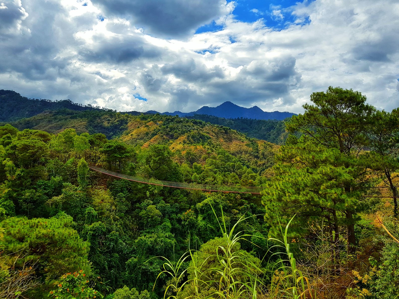 Netizens wish Canadian 'Kulas' may visit this scenic hanging bridge in ...