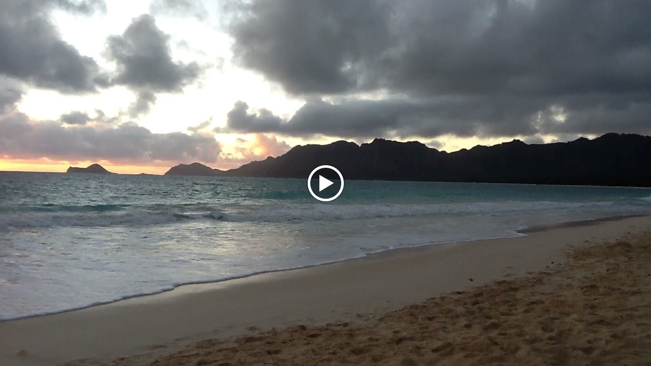 Aloha Windmill Farms: Giant Toad Invades Hawaii
