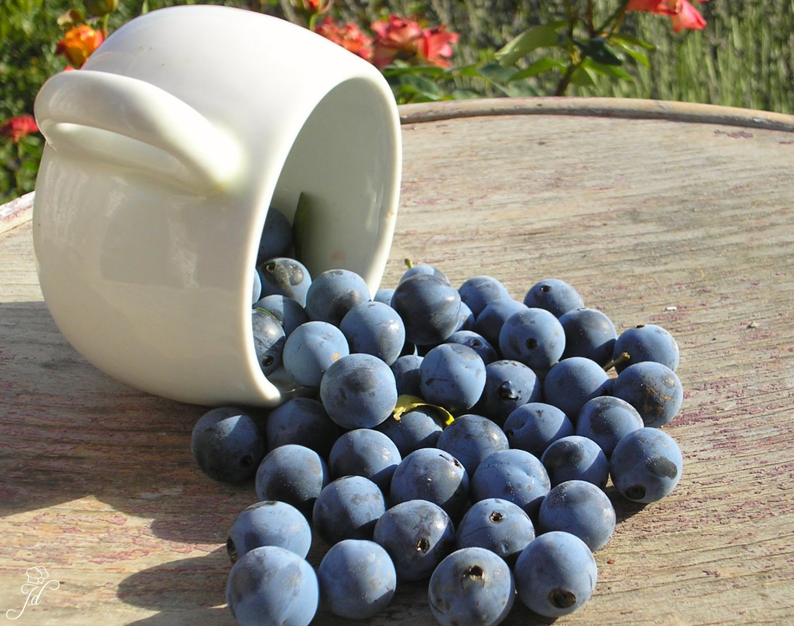 Jedozovni duo: Liker od trnina