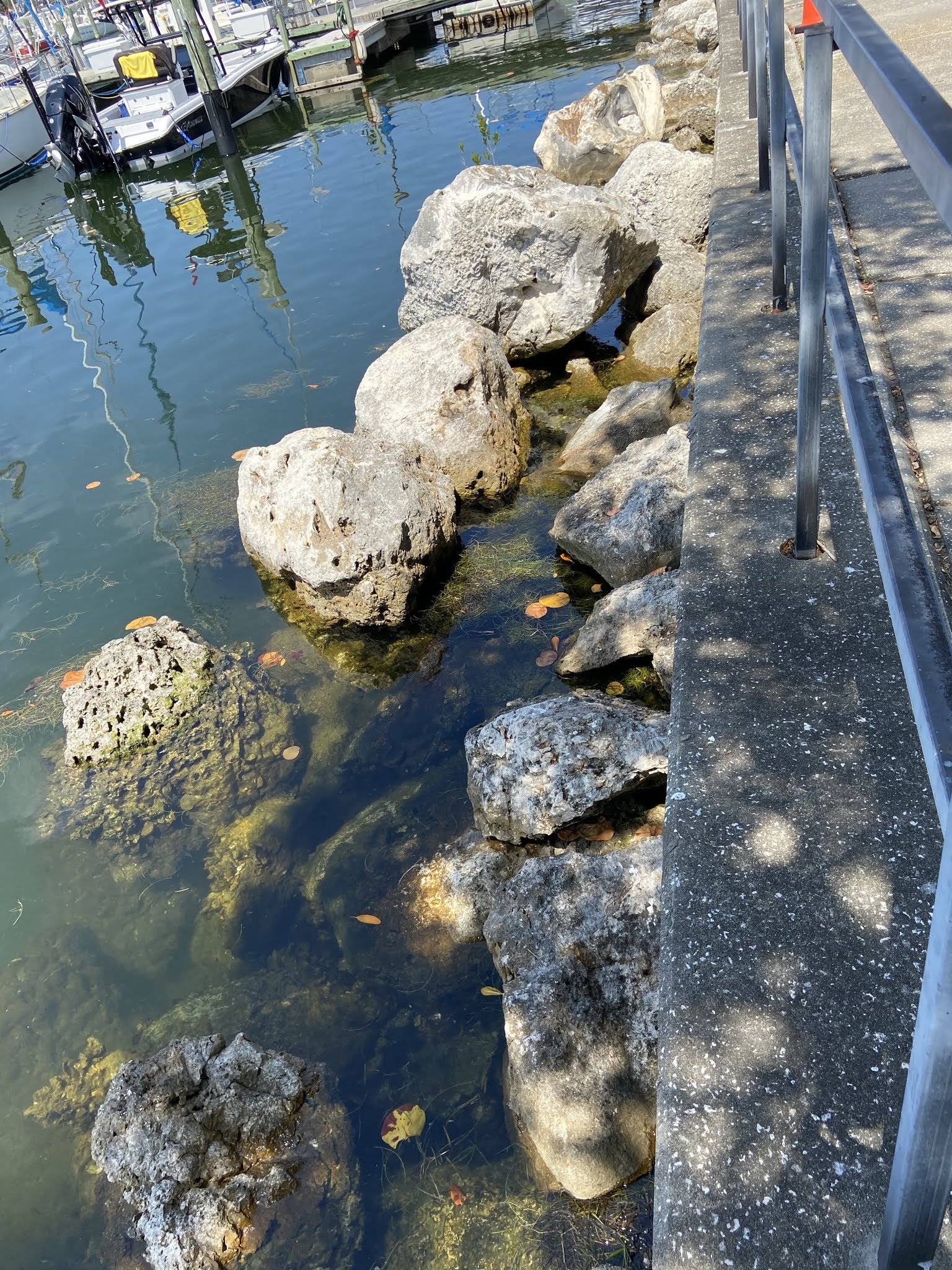 BAY POST INTERNET: August 7 Prayer Pod