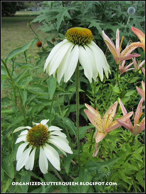 The Front Yard Flower Border - Organized Clutter