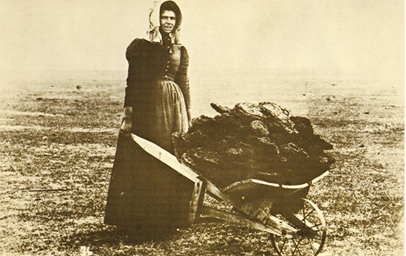 Bob Boze Bell's Big Bad Book of Bad Diary Entries: Prairie Girls Are ...