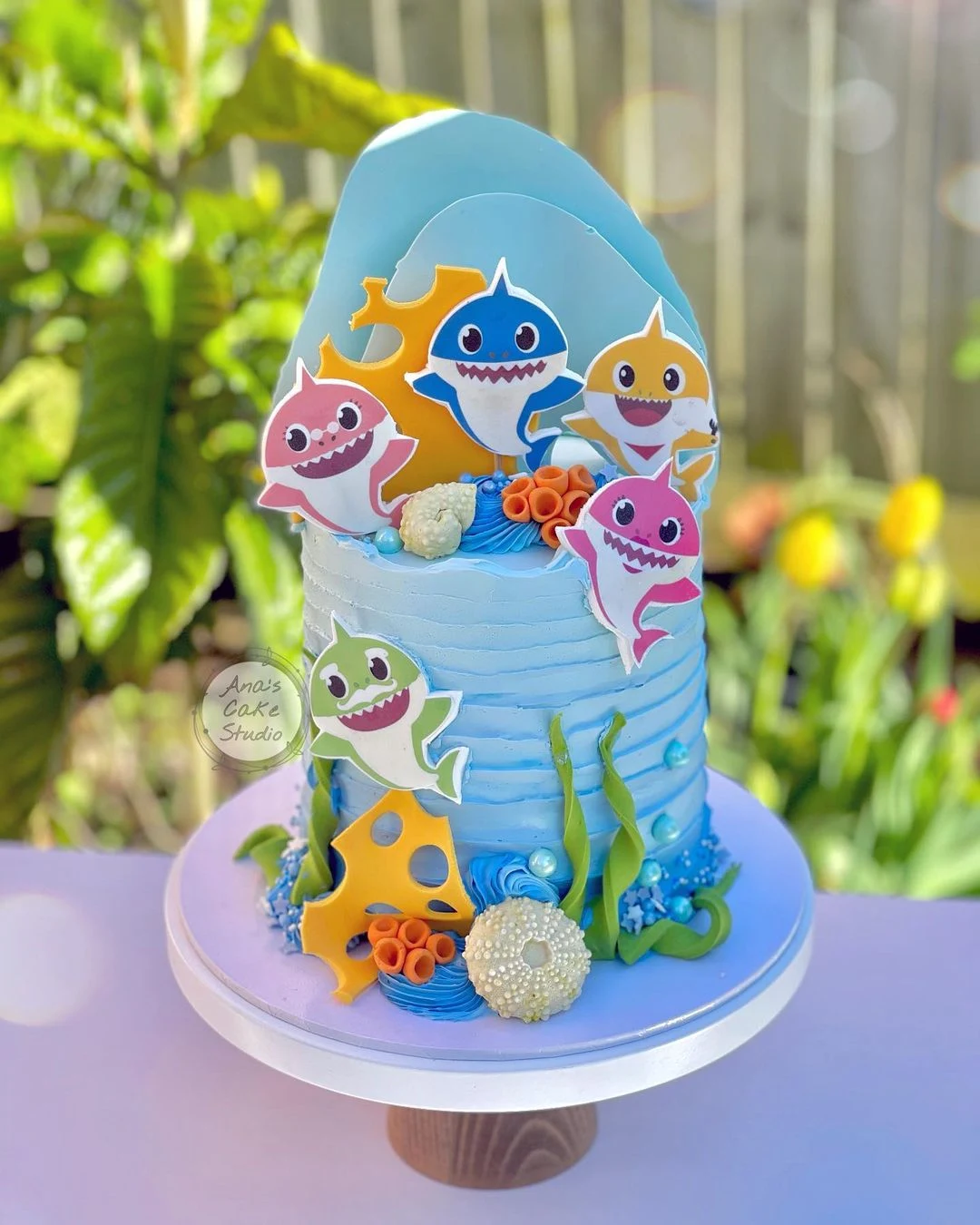 20 Ana's Studio Cake designs that are overly cute. | Melody Jacob