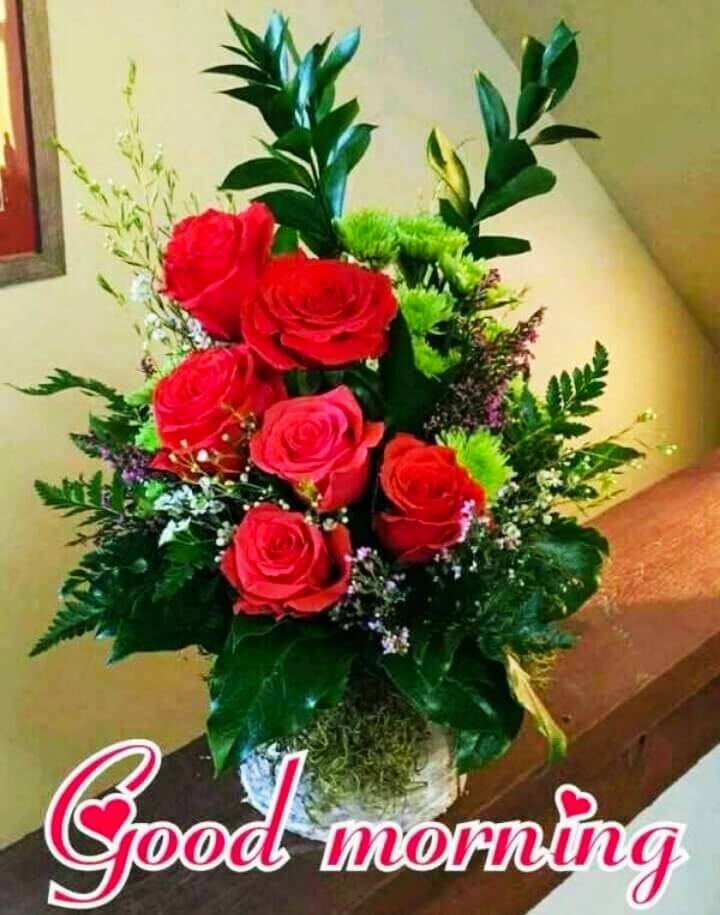 35+ Best Good Morning Images Free Download For Whatsapp HD Download ...