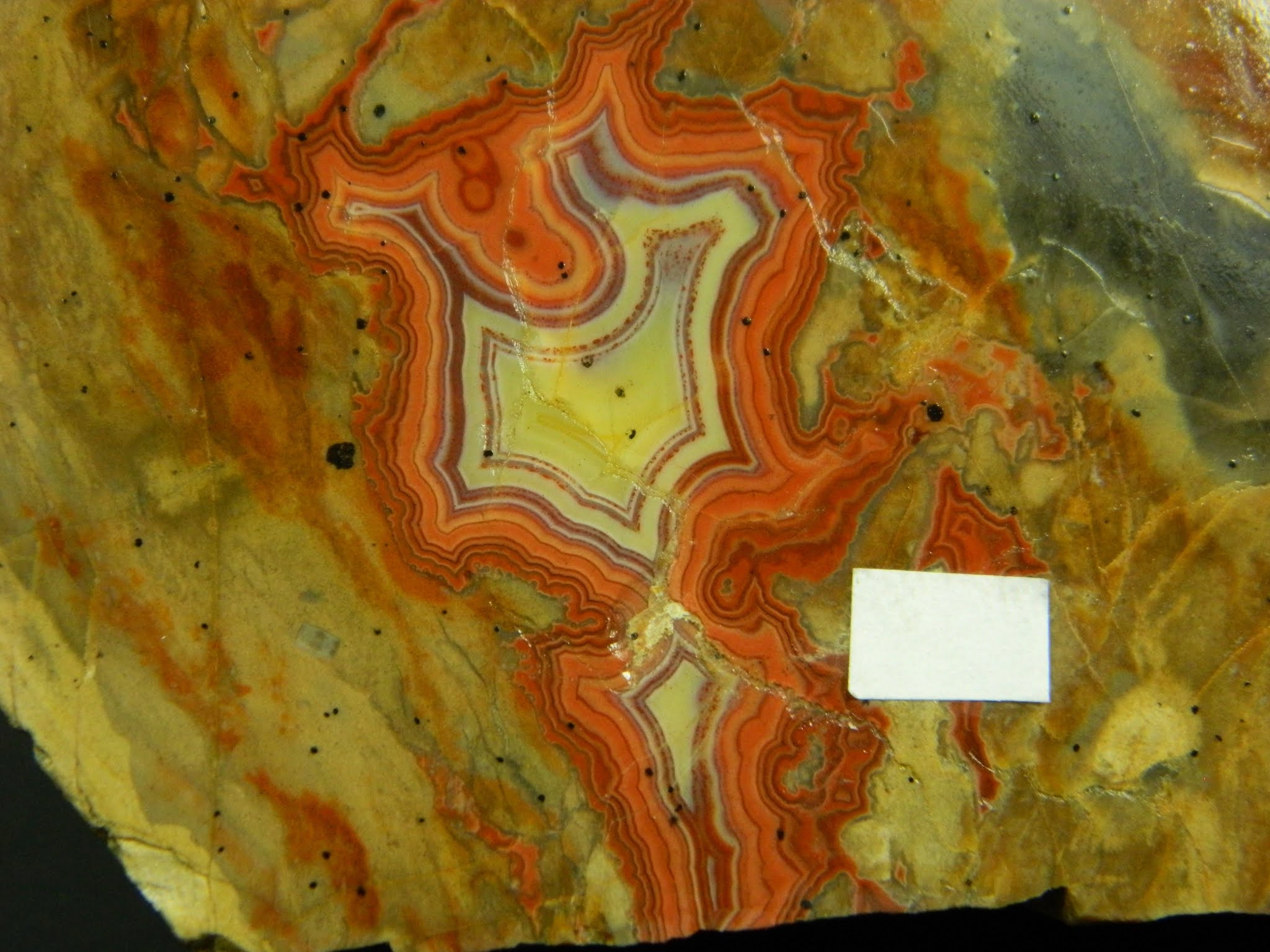 CSMS GEOLOGY POST: BLACK HILLS: FUN AT FAIRBURN AND TEEPEE CANYON AGATE ...
