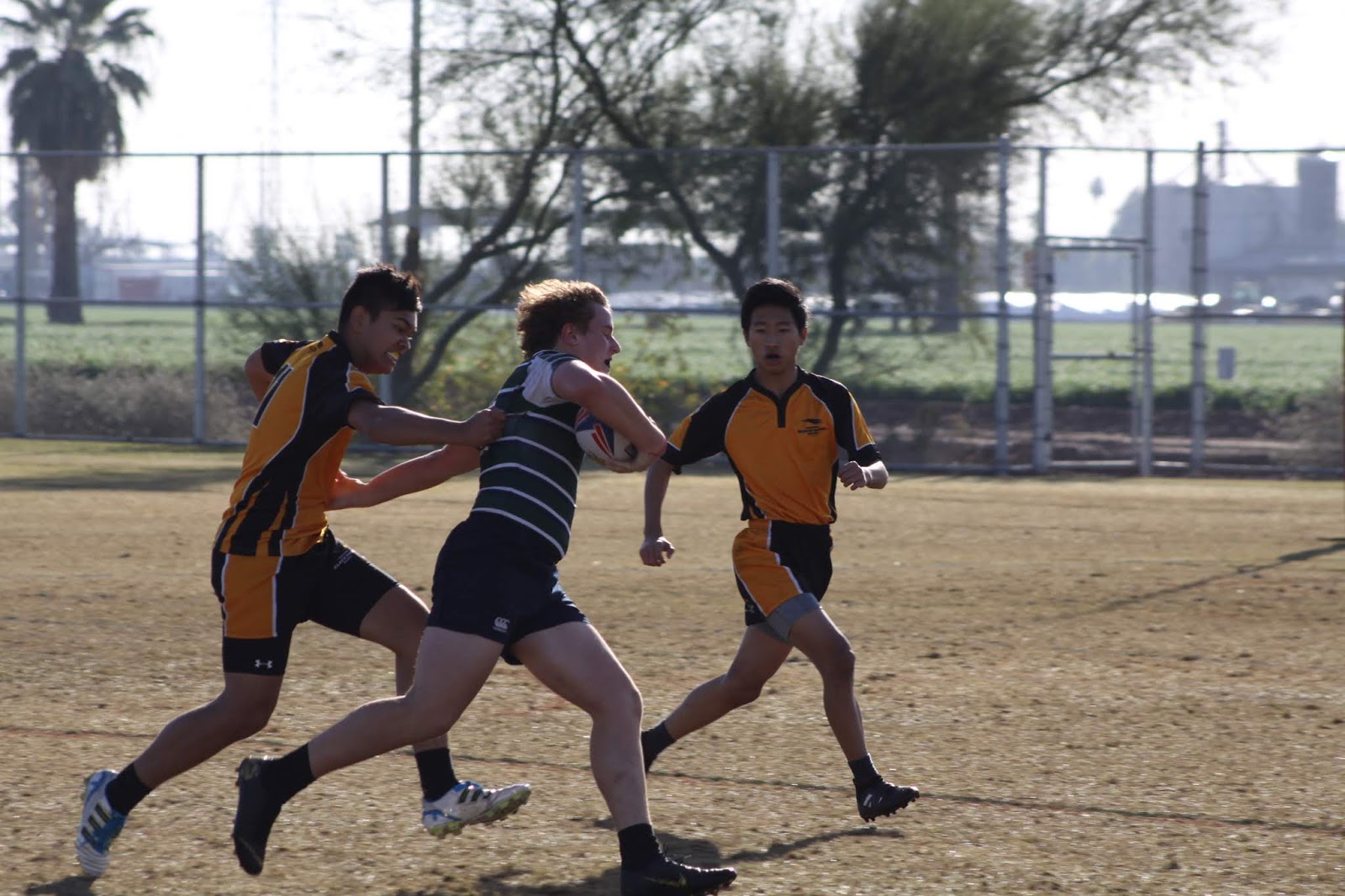 Snapshots of Te Mana Rugby: 2019