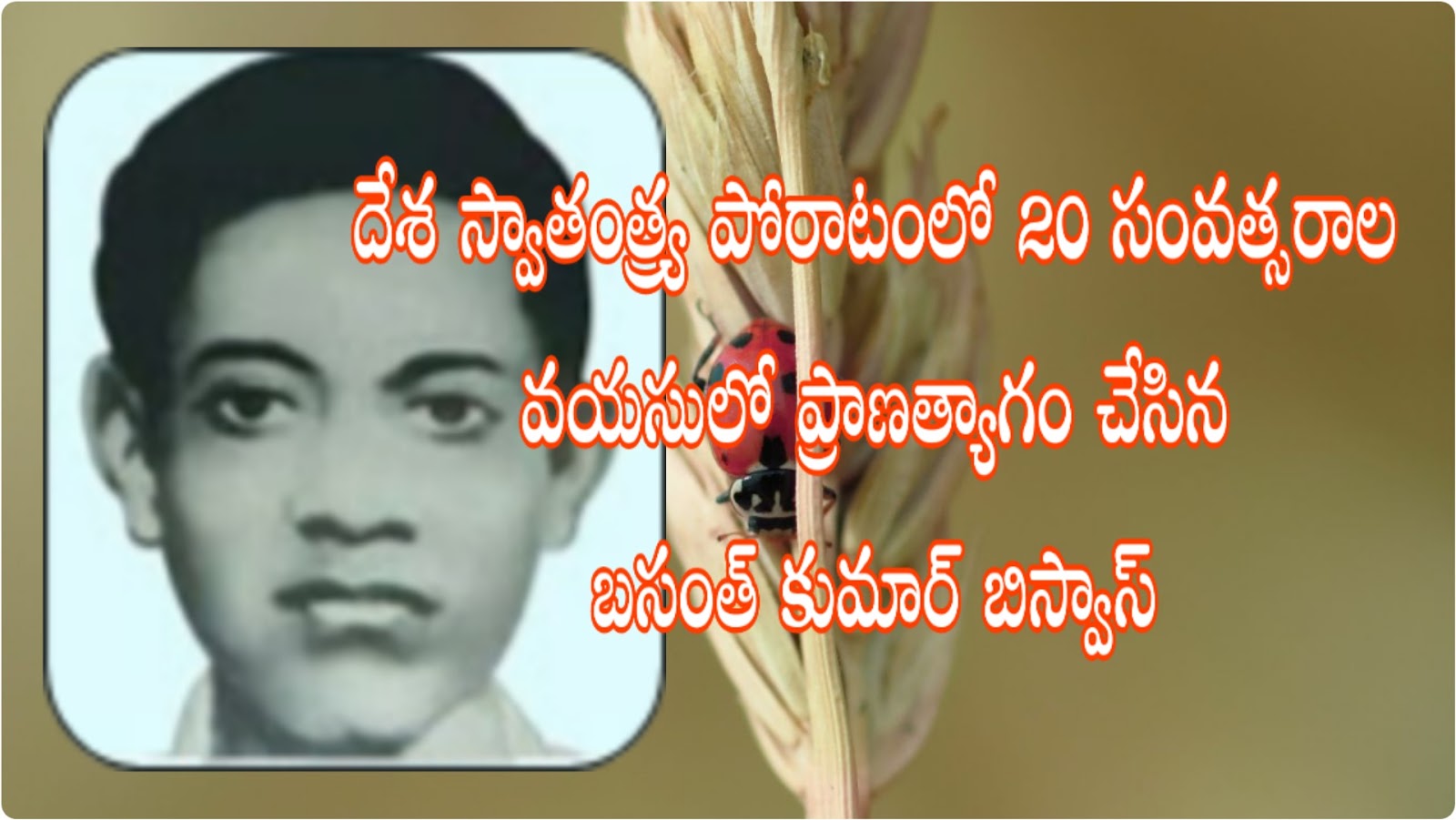 బిస్వాస్ బసంత కుమార్ - About freedom fighter basanth kumar in telugu ...