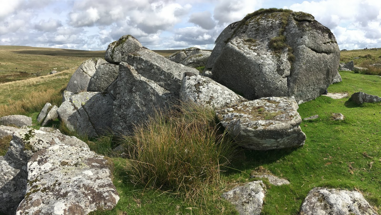 Max Piper - Tor Bagger: Dartmoor: The Tors on Walkhampton Common