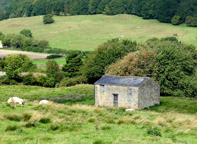 Walking in North Yorkshire