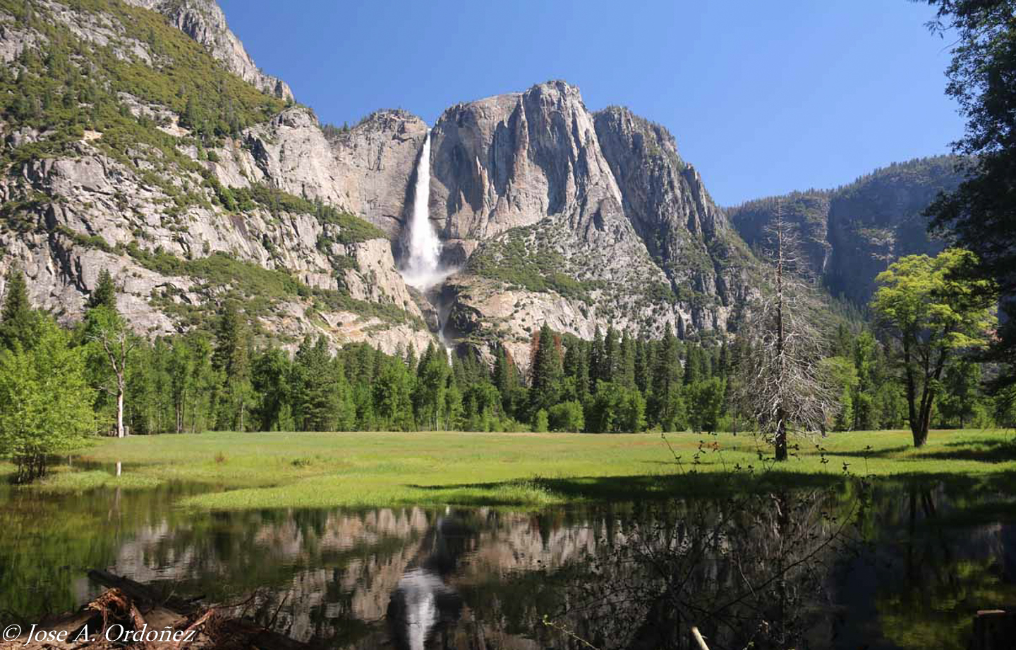 El Jardín de la Barrosa: Viajes en el pasado. Visitando los parques ...