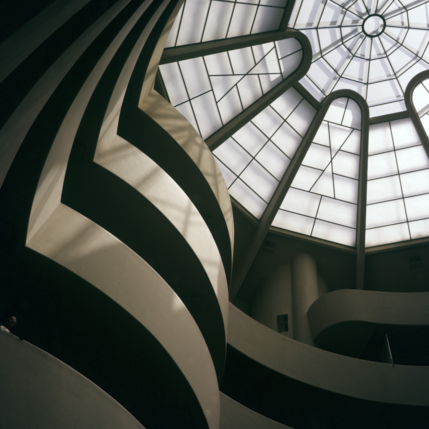 HISTORIA DEL ARTE: ARQUITECTURA ORGANICISTA