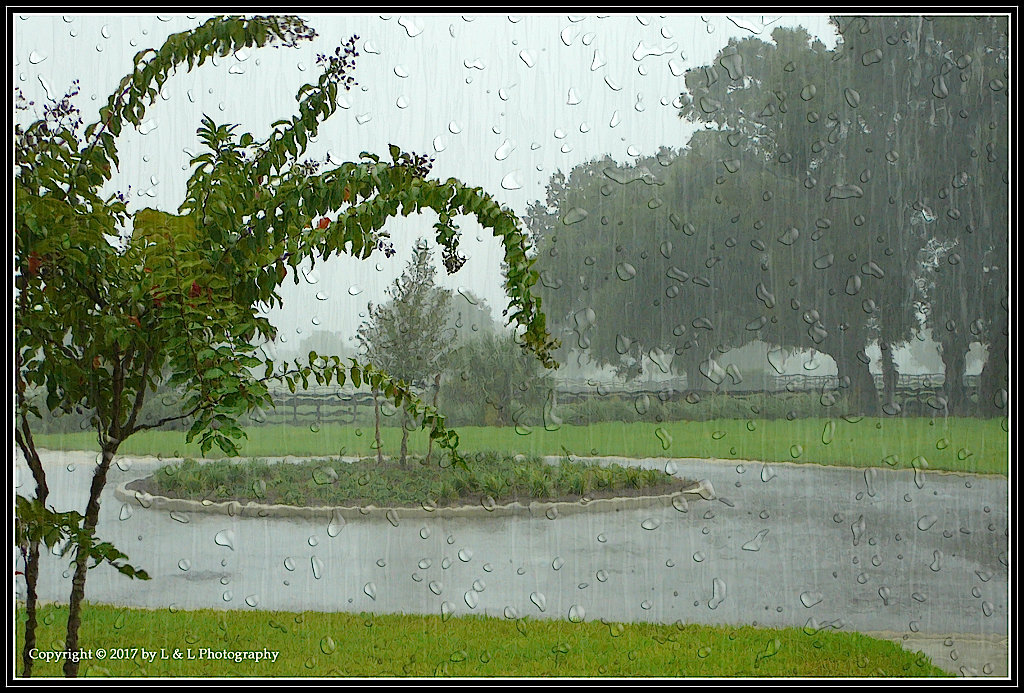 Ocala Central Florida Beyond Rainy Day At Last ocala-central-florida-beyond-rainy-day-at-last