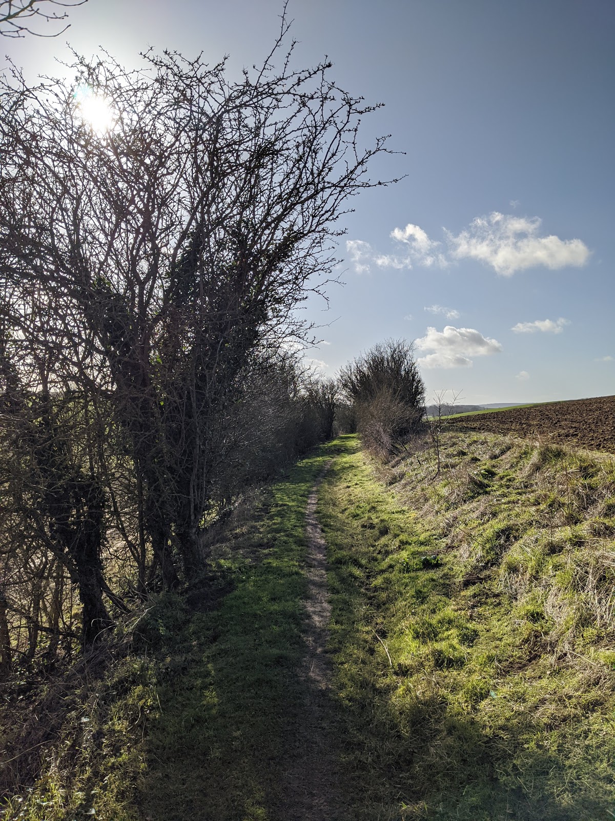 The Ridgeway (Or Icknield Way) #4: Lewknor to Goring
