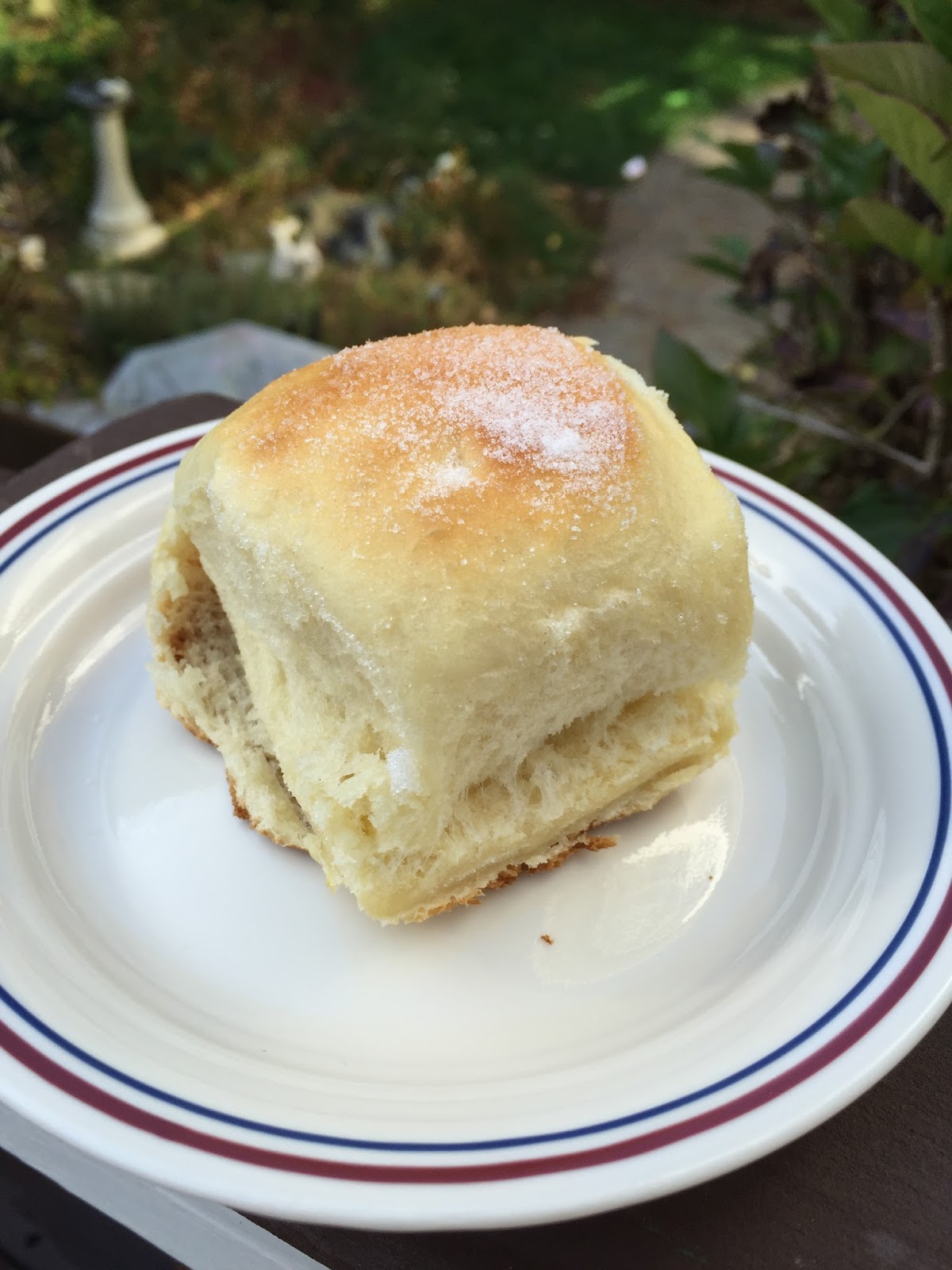 Kismet Cooking: Pan Dulce (Sweet Bread Recipe)