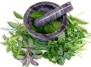 Common Diseases And Their Herbal Remedies V ~ Herbal Remedy To Diseases ...