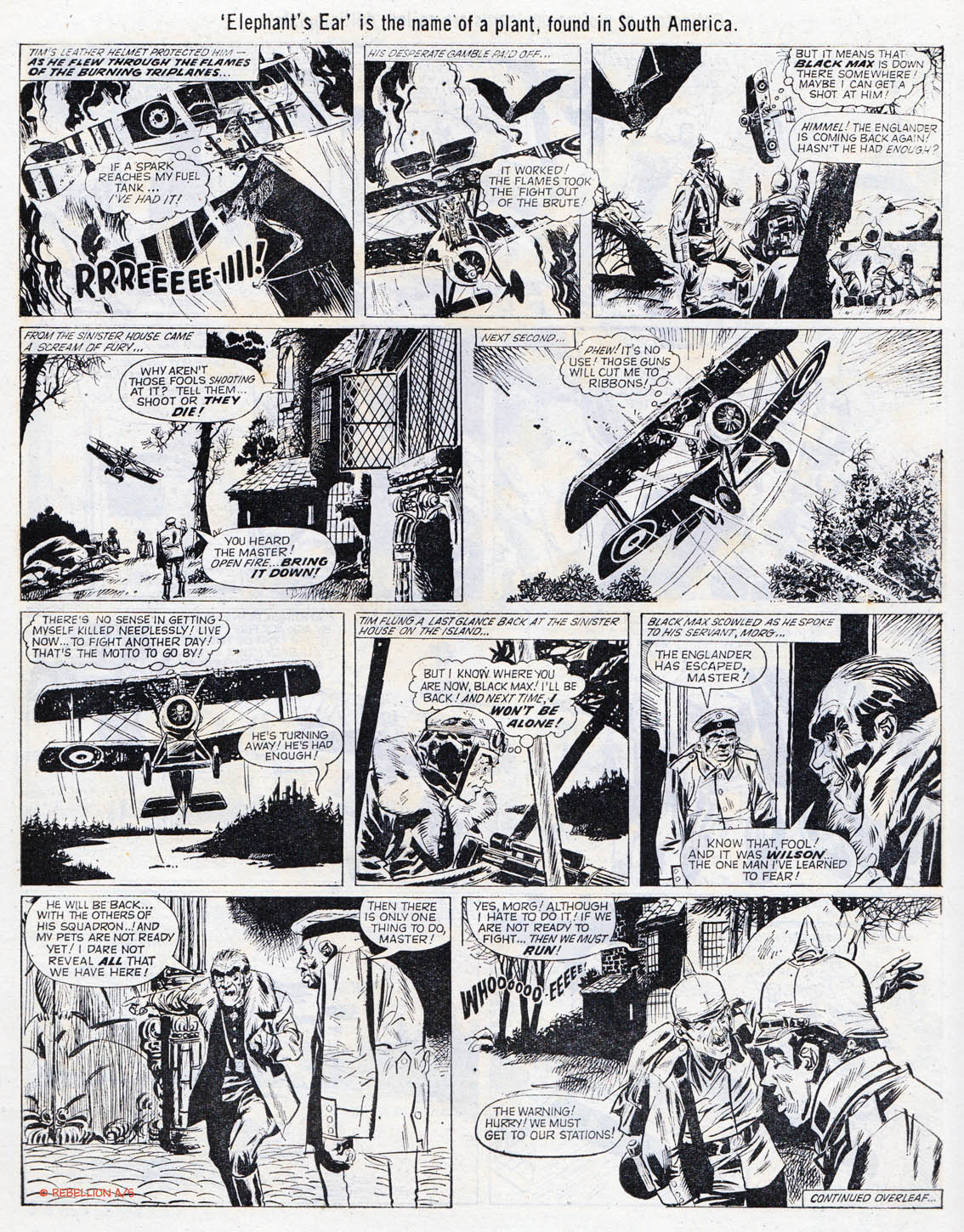 BLIMEY! The Blog of British Comics: Will BLACK MAX return?