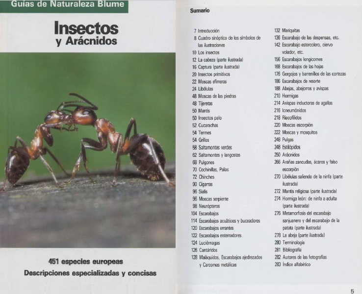 Libros de biología en PDF: Insectos y Aracnidos