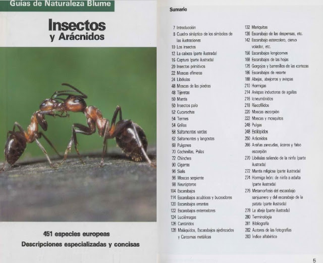 Libros de biología en PDF: Insectos y Aracnidos