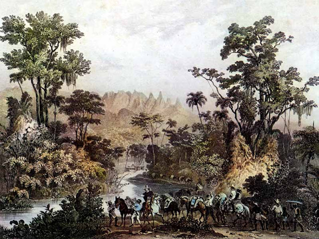 Yoshiwara´s World: Você Conhece Johann Moritz Rugendas?