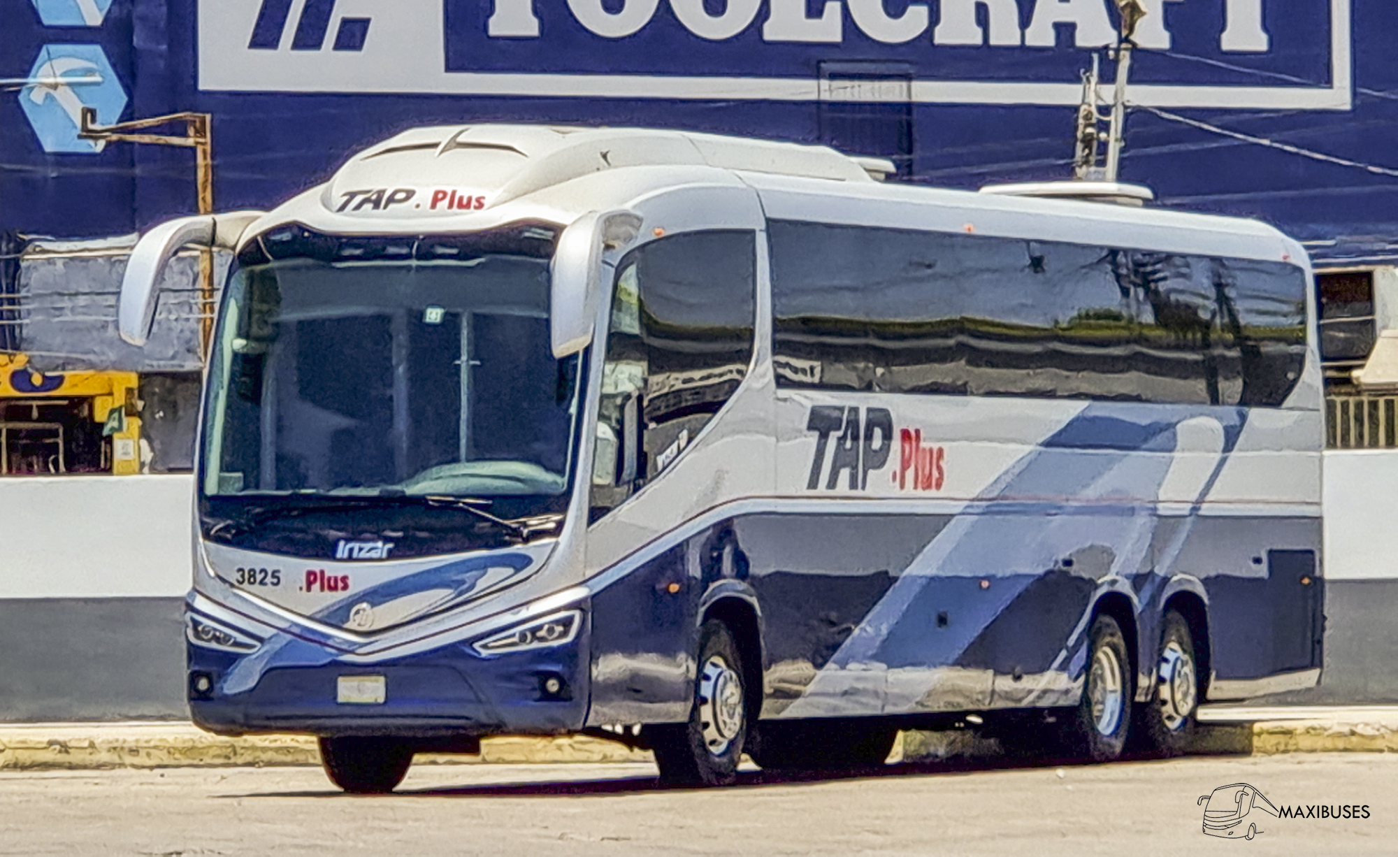 MAXIBUSES: TRANSPORTES Y AUTOBUSES DEL PACÍFICO, PLUS (TAP)