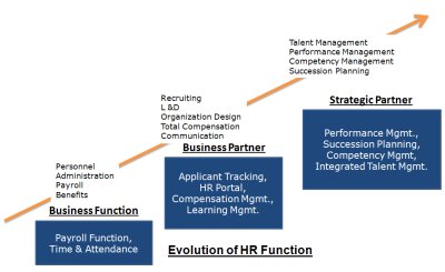 Info SDM: Model MSDM