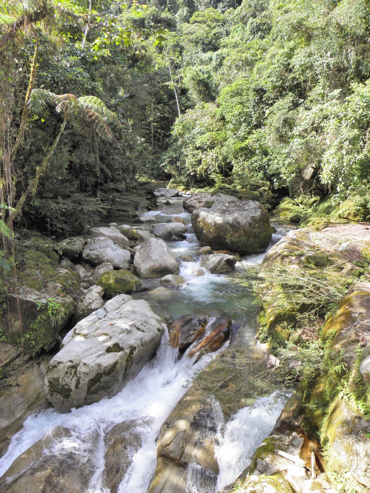 Ecuador Joannan silmin - Ecuador in my eyes: The Perfect Jungle Spot ...